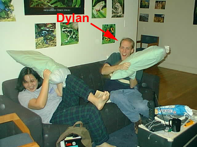 Combining Textures and Pictures with Specialized Texture Synthesis